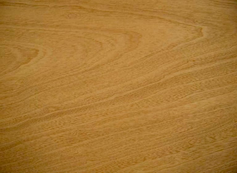 Sapeli-Mahagoni Bootsbausperrholz | Beste Furnierqualität